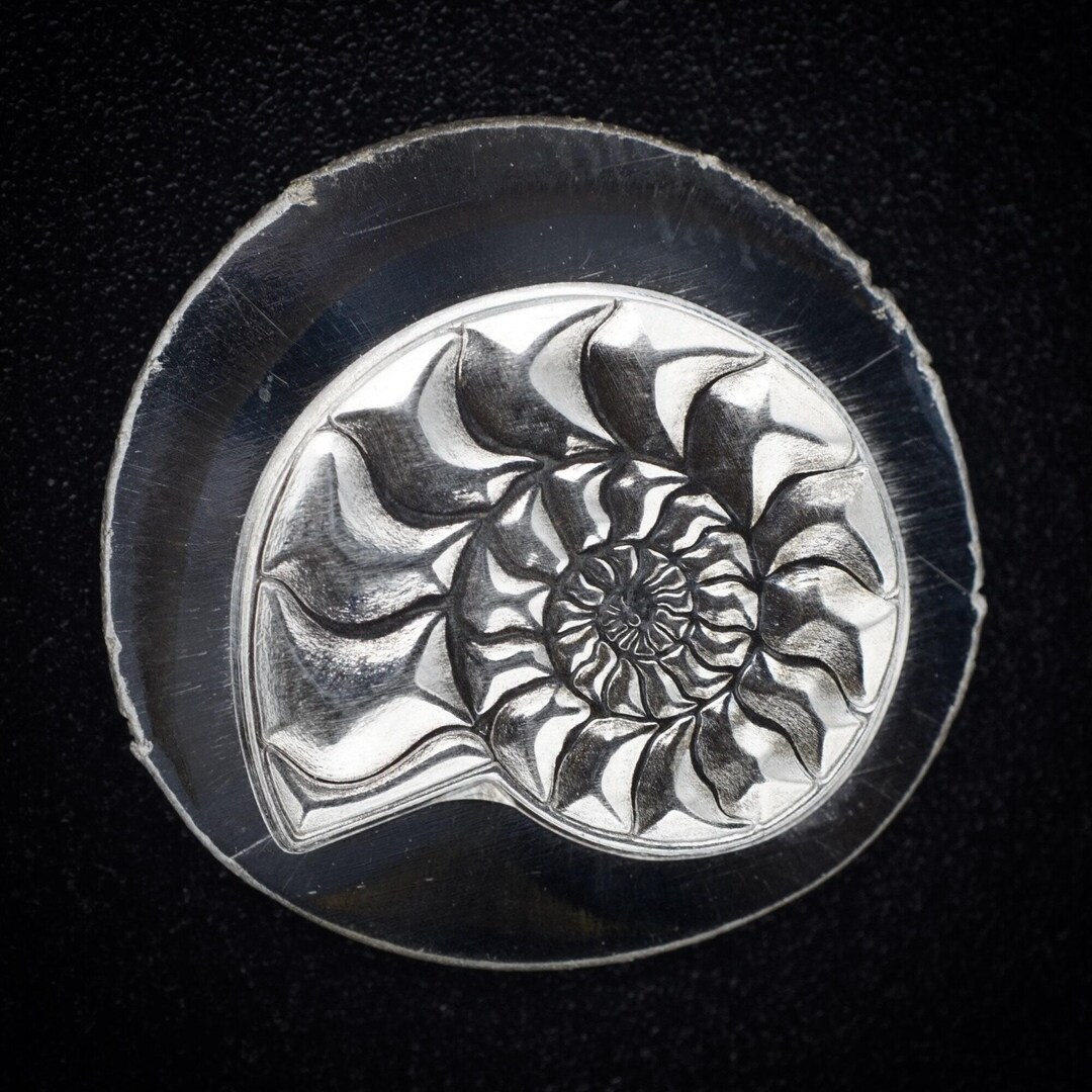 Gemina Facetted Ammonite Impression Die | Steel Shot Plate Jewelry ...