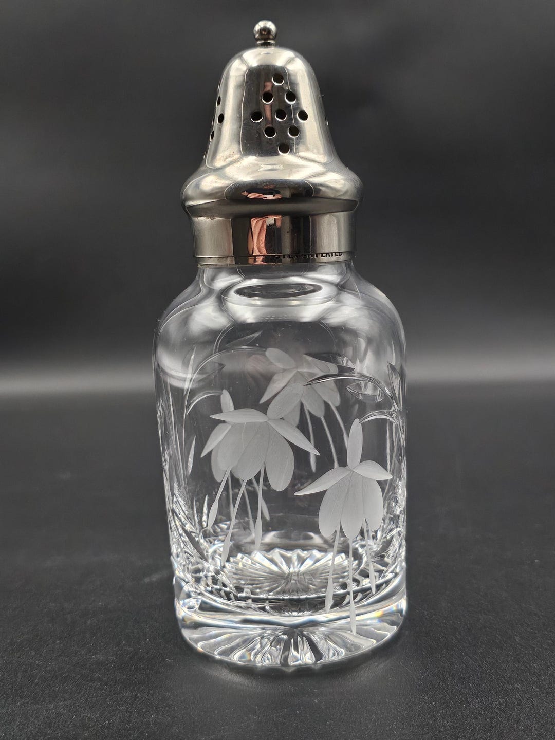 Stuart Crystal Cascade Pattern Silver Plated Sugar Shaker - Etsy