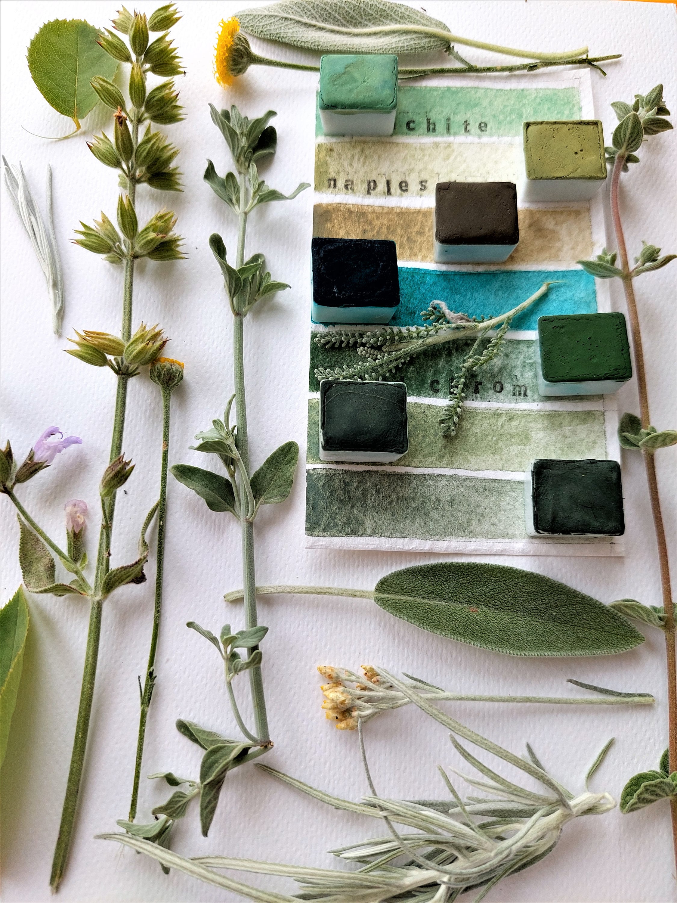 Green Palette Rare Historical Pigments Handmade Travel Watercolor of 7 ...