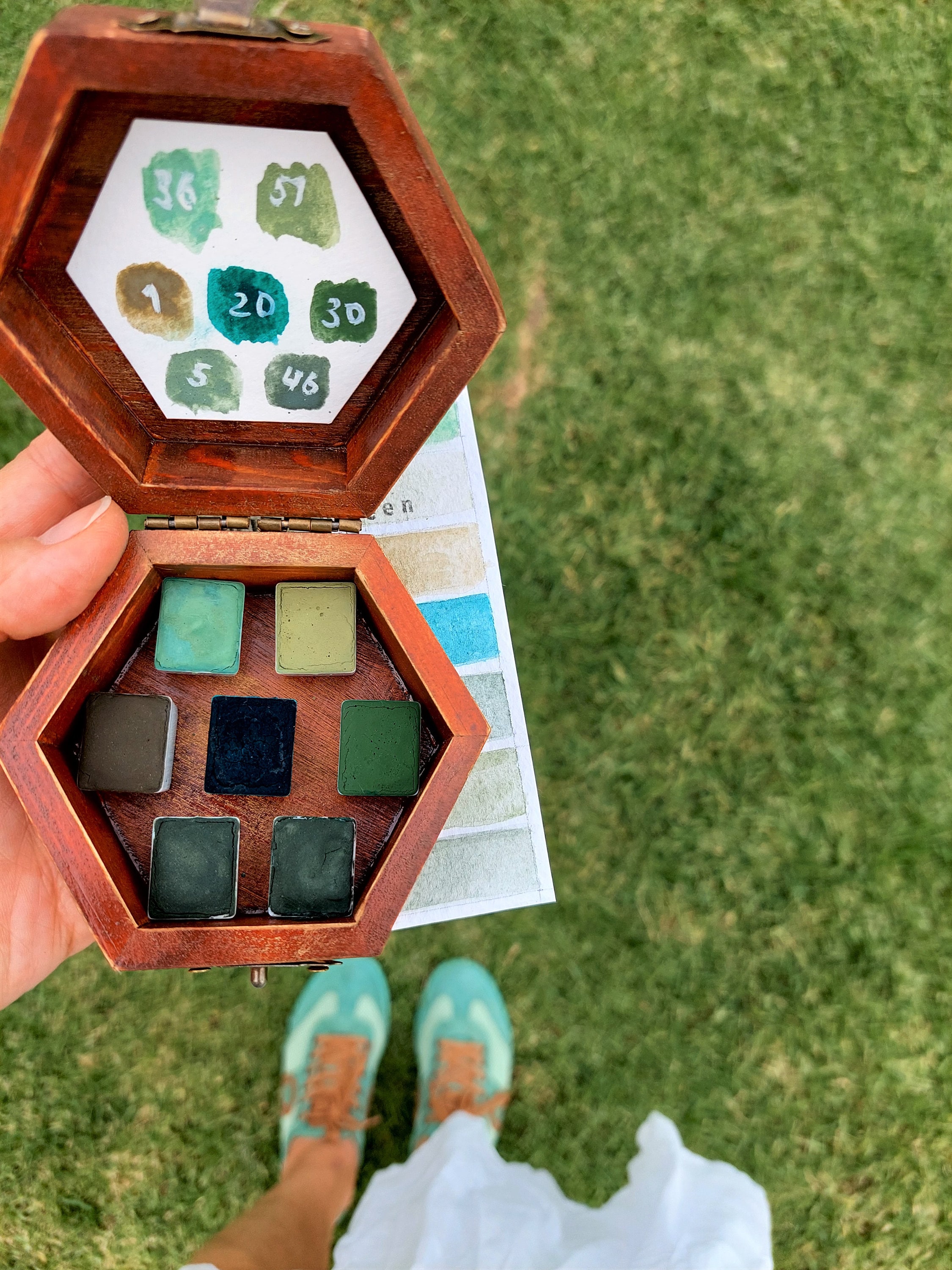 The Green Botanical Mono-pigment Watercolors Palette. Rare Historical ...