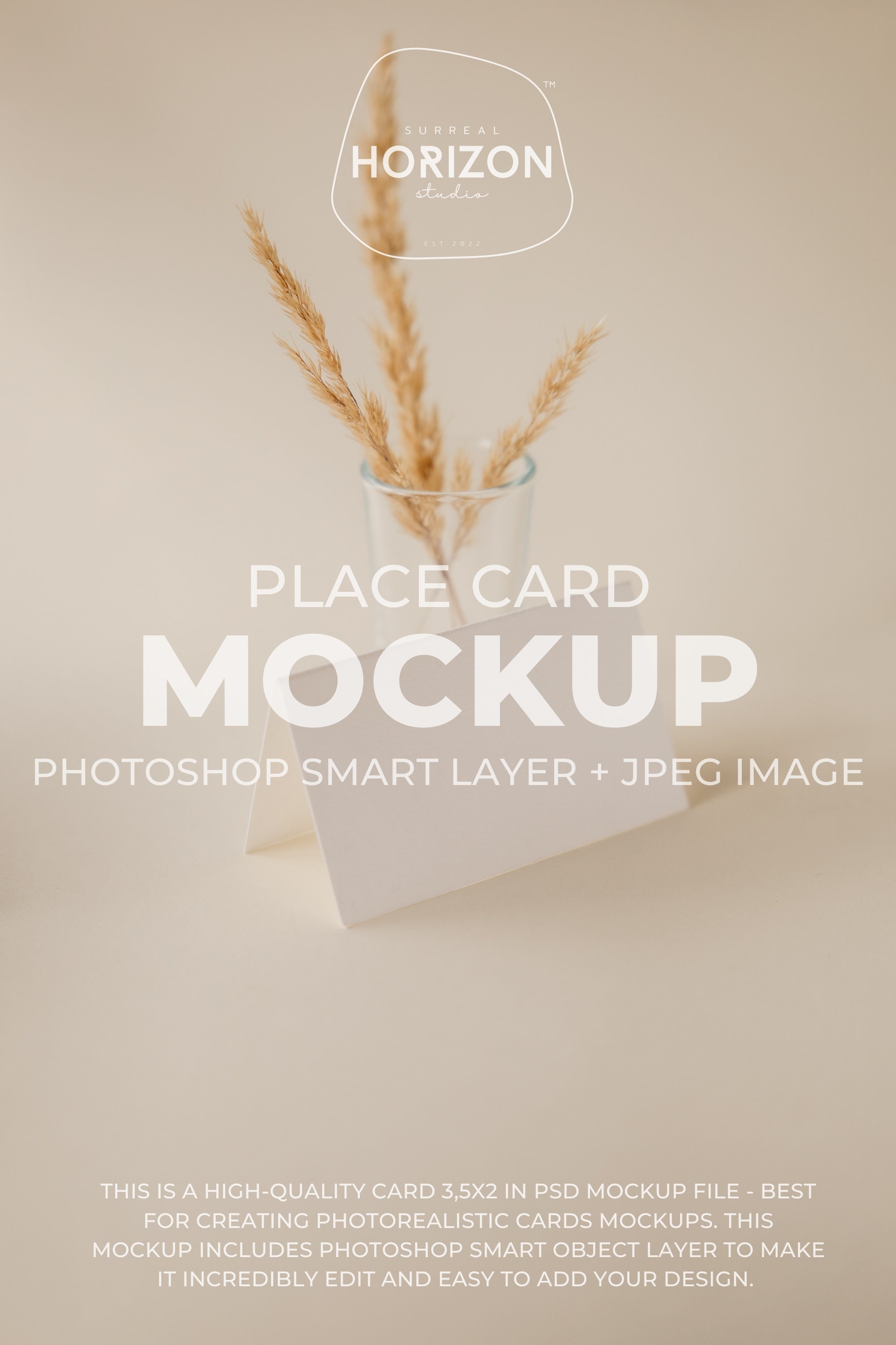Minimalistic Name Card MOCKUP, 3.5 X 2 Size PSD JPEG Image, Simple ...