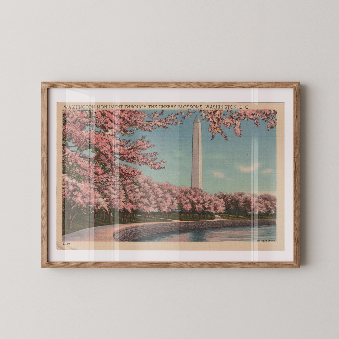 Washington Monument Art Print, Cherry Blossom Art, Retro Decor, Vintage ...