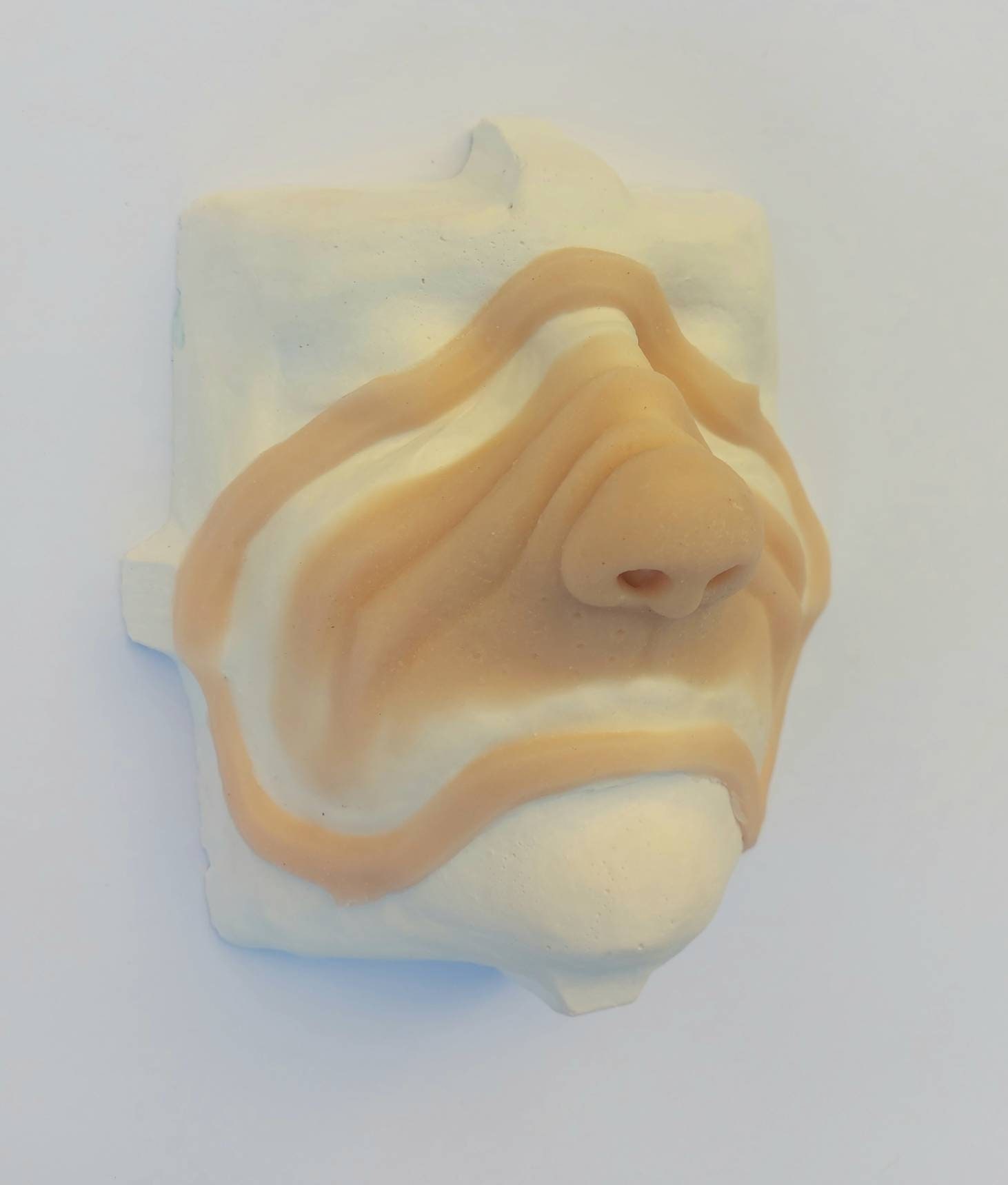 Grinch Style Encapsulated Silicone Nose Prosthetic Set/grinch Nose ...