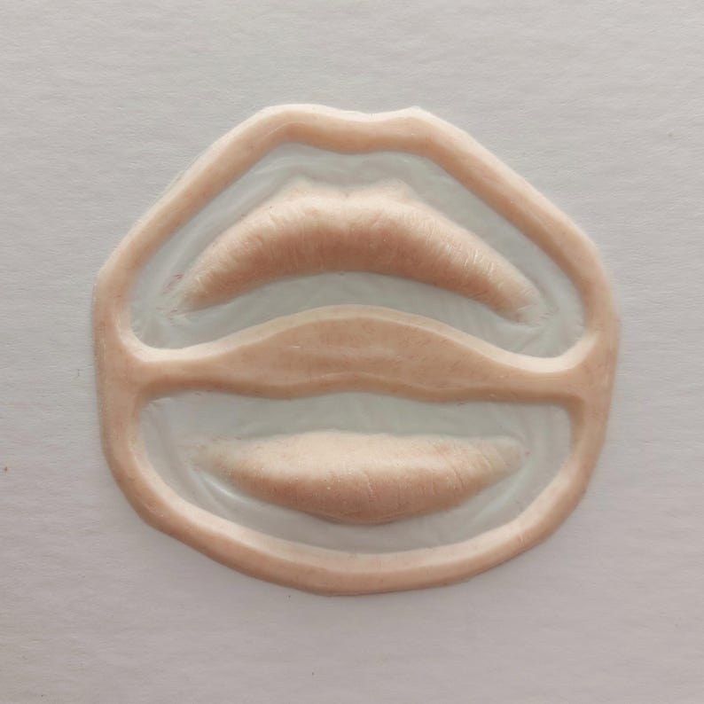 Lip Prosthetics/ Enhanced Lips/ Botox Lips/ False Lips/ Doll Lips/ Lip ...