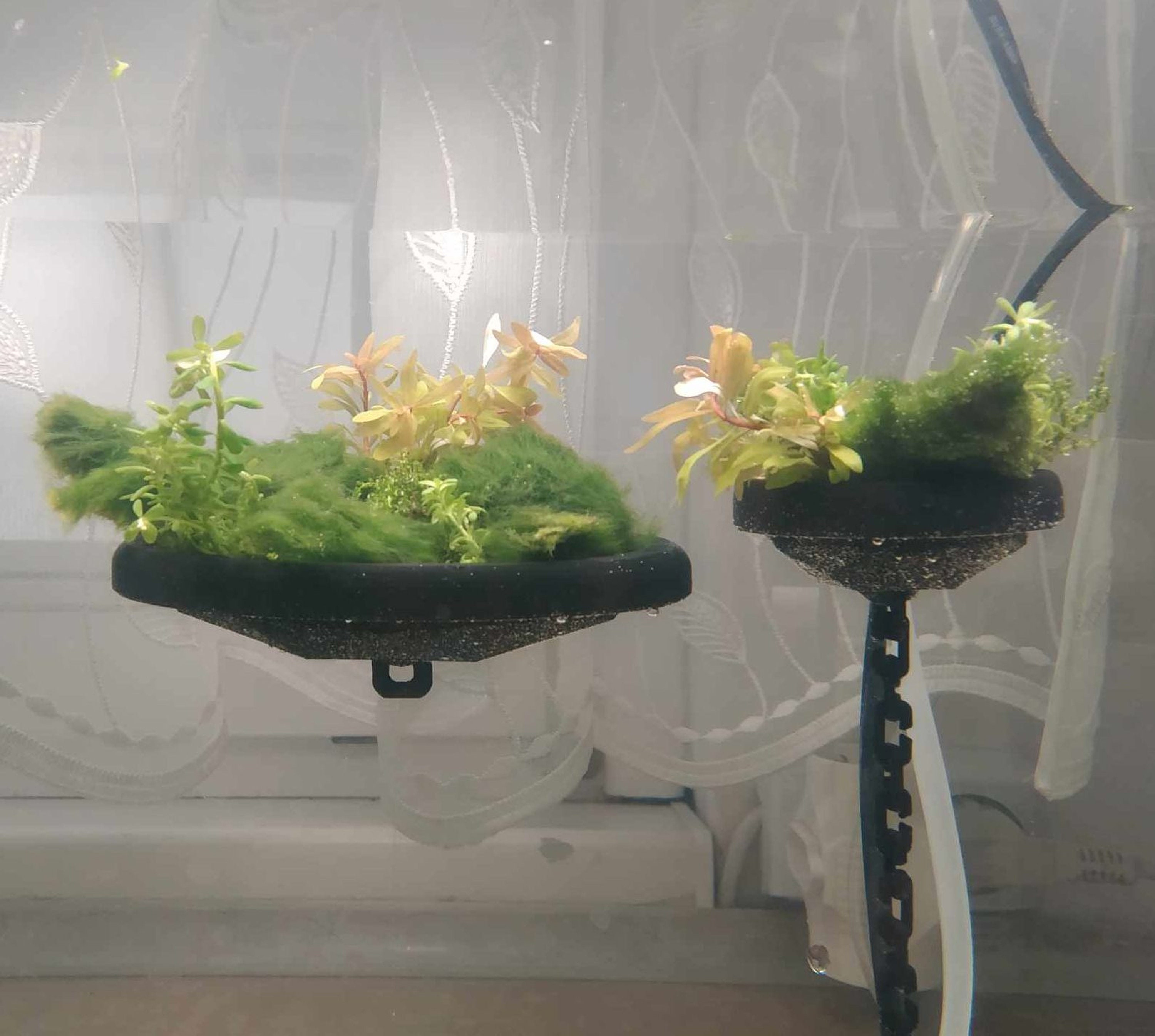 Ornament for Decorating the Aquarium. Floating Island. Any Length of ...