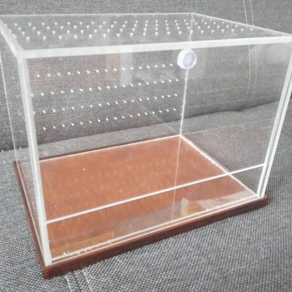 Terrarium Stand - Etsy