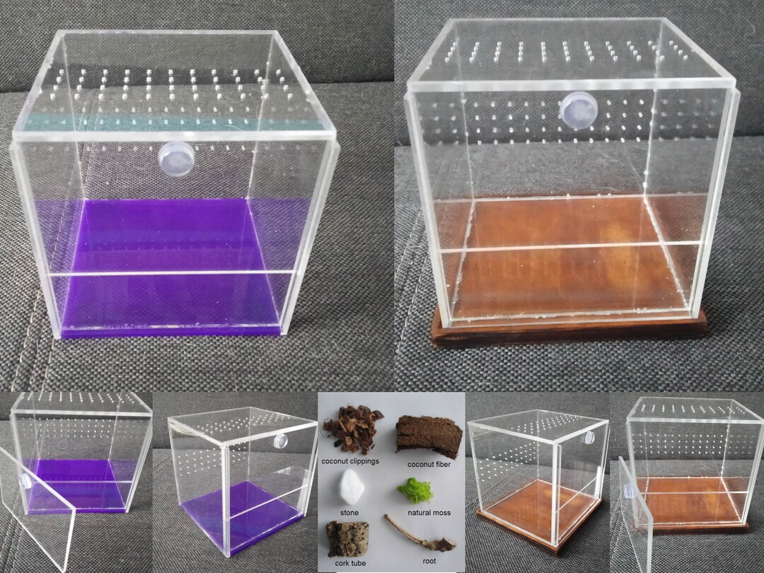 Unique Terrarium With a Wooden Stand and Purple Bottom. Terrarium for ...