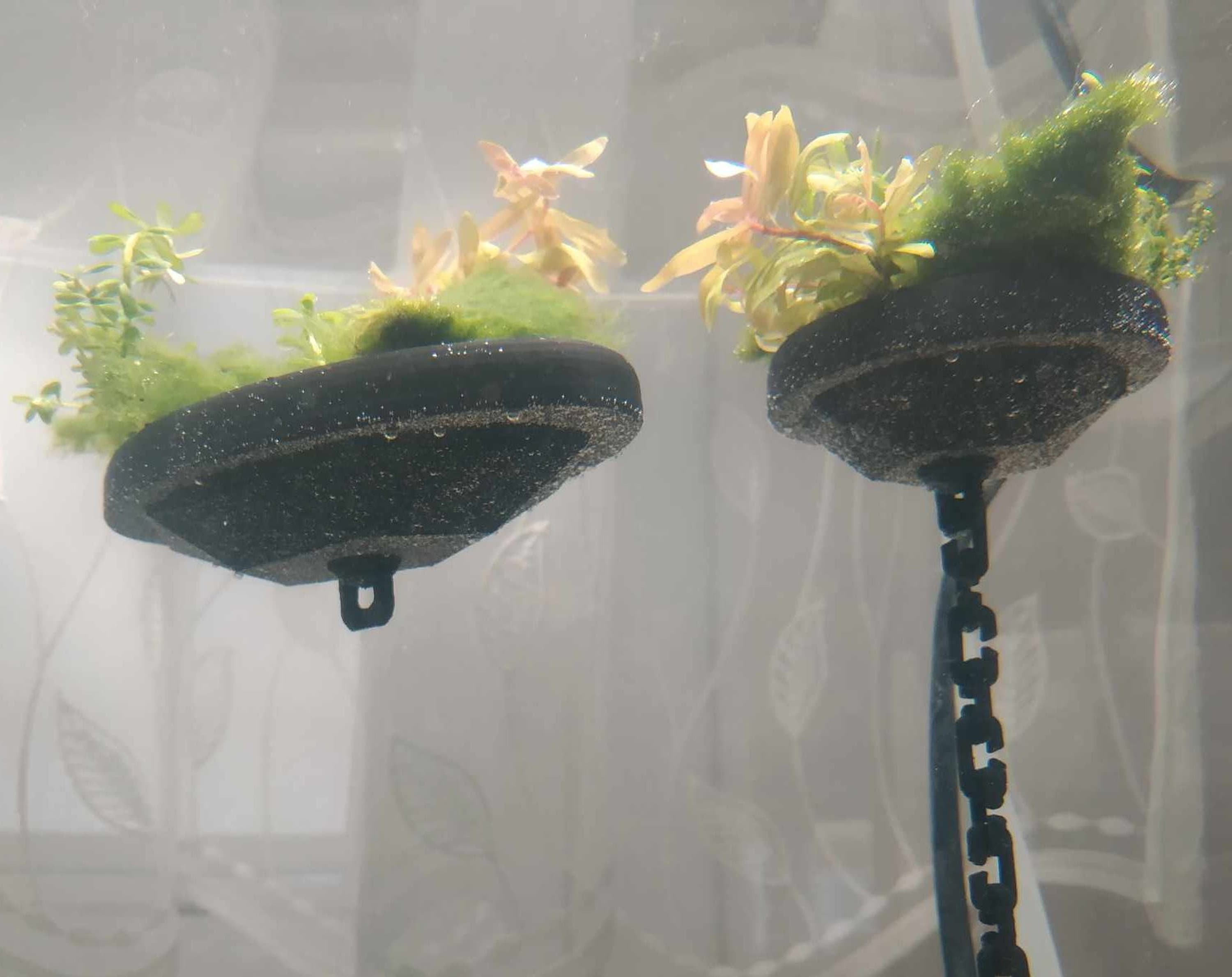 Ornament for Decorating the Aquarium. Floating Island. Any - Etsy