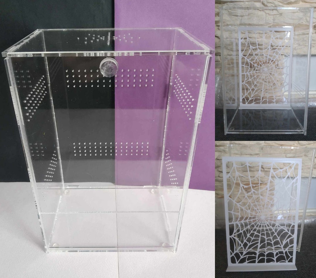 Guillotine Door, Spider Enclosure Terrarium, Ready to Use, Tarantula ...