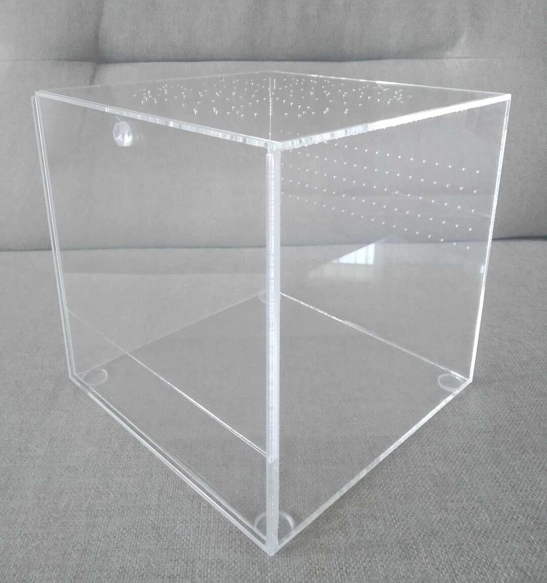 Unique Big Terrarium. Terrarium for Spiders, Crickets, Stick Insects ...