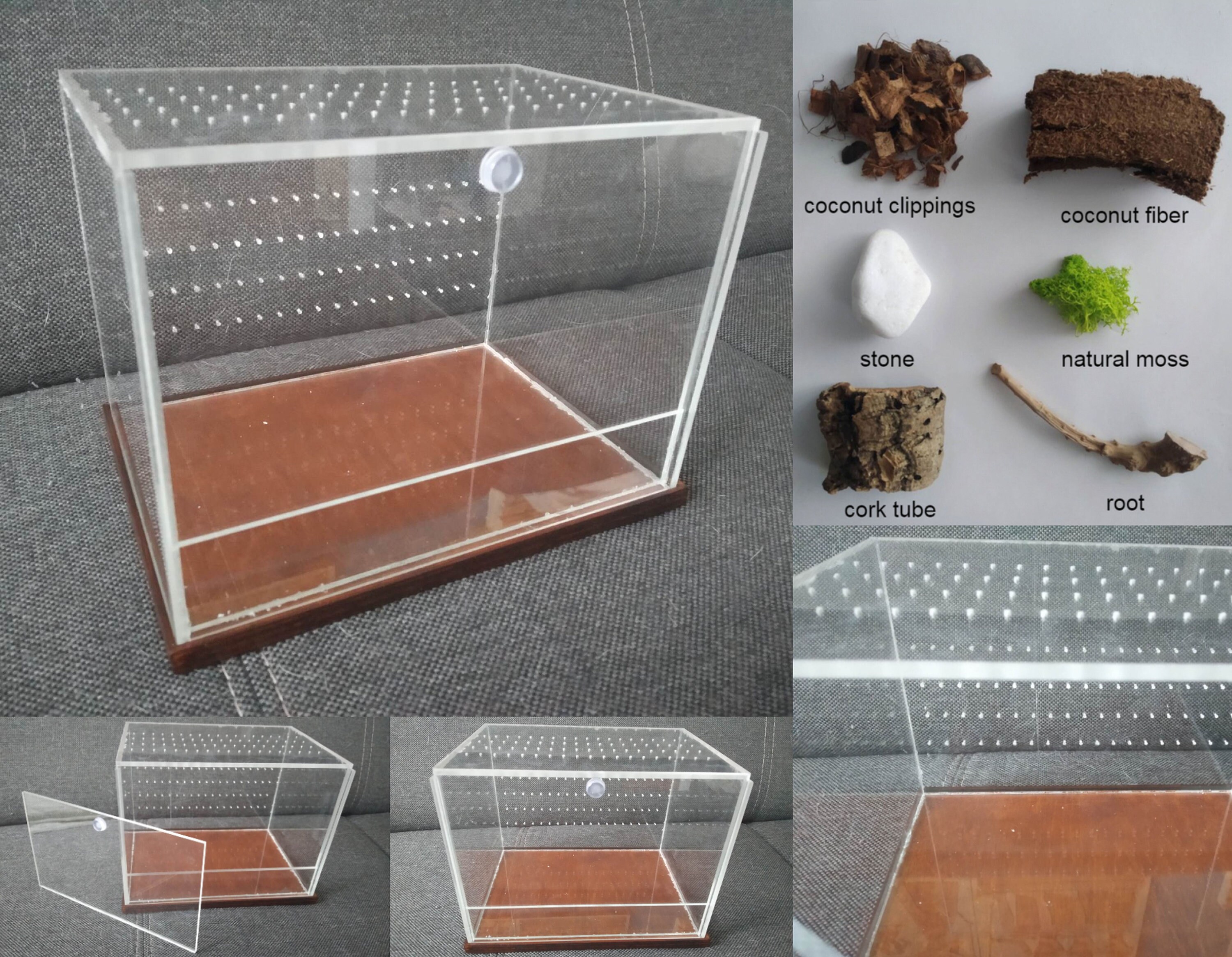 A Unique Terrarium With a Wooden Stand. Terrarium for - Etsy