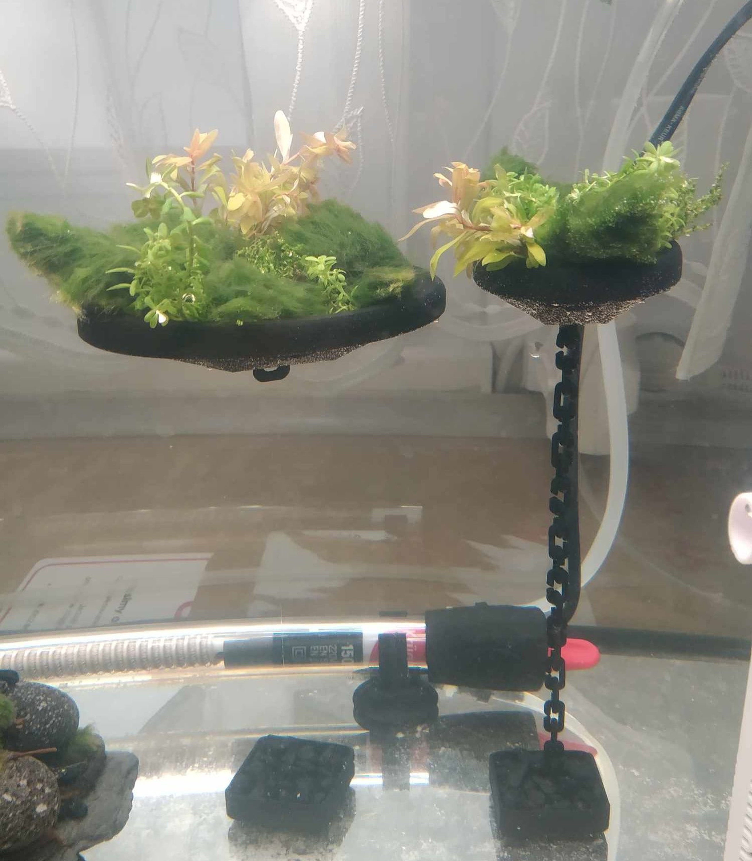 Ornament for Decorating the Aquarium. Floating Island. Any Length of ...