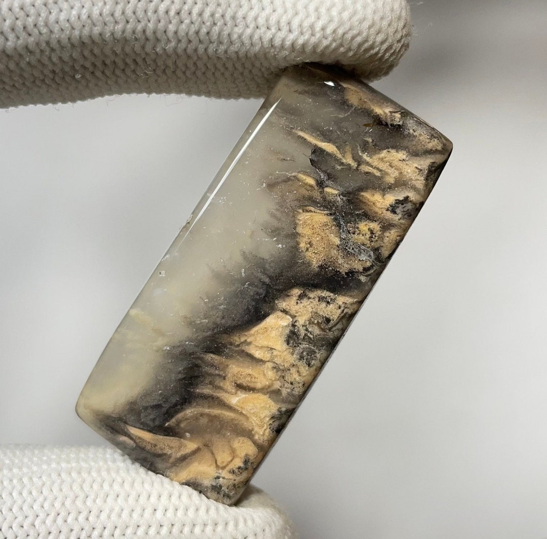 Natural Tiger Dendrite Agate Stone Dendrite Loose Dendrite Stone for ...