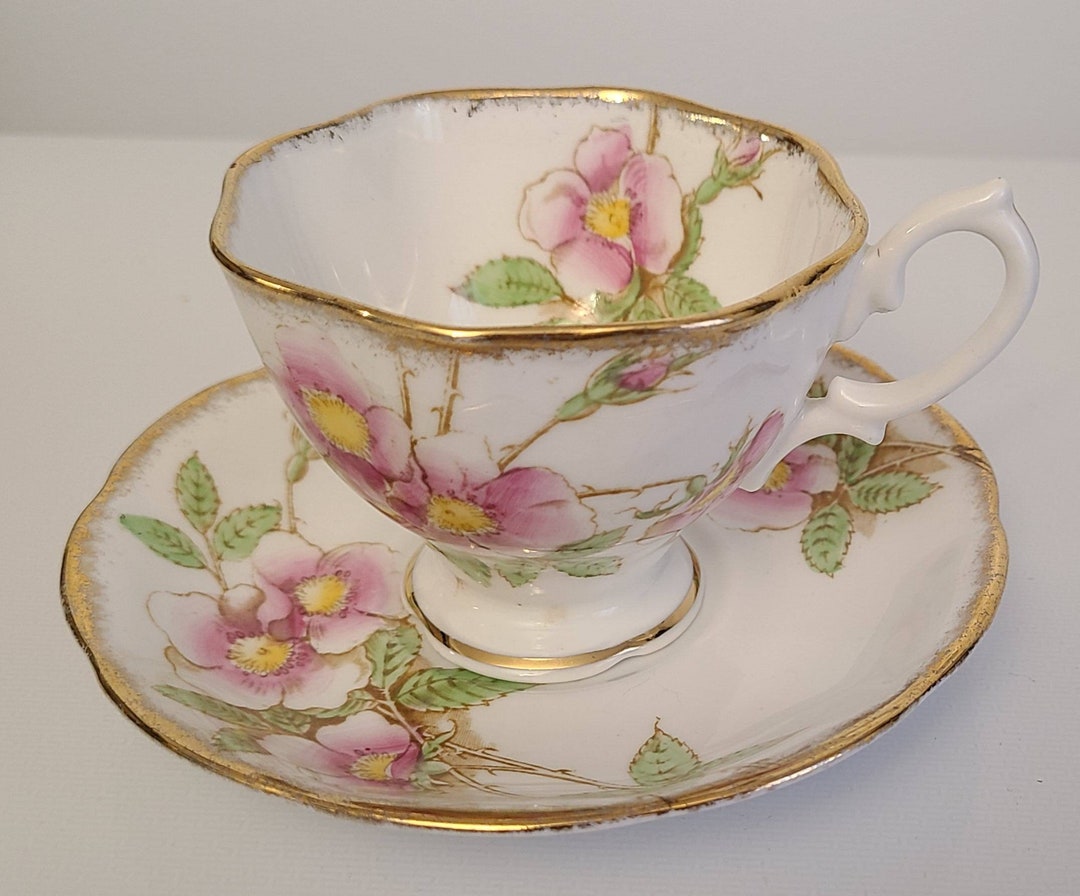 Rare Vintage Royal Albert, Wild Rose, Crown China, Made in England - Etsy