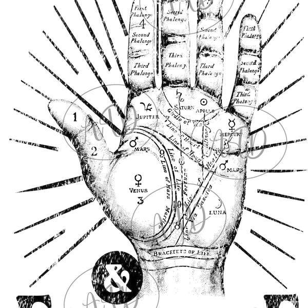 Fortune Teller Sign - Etsy