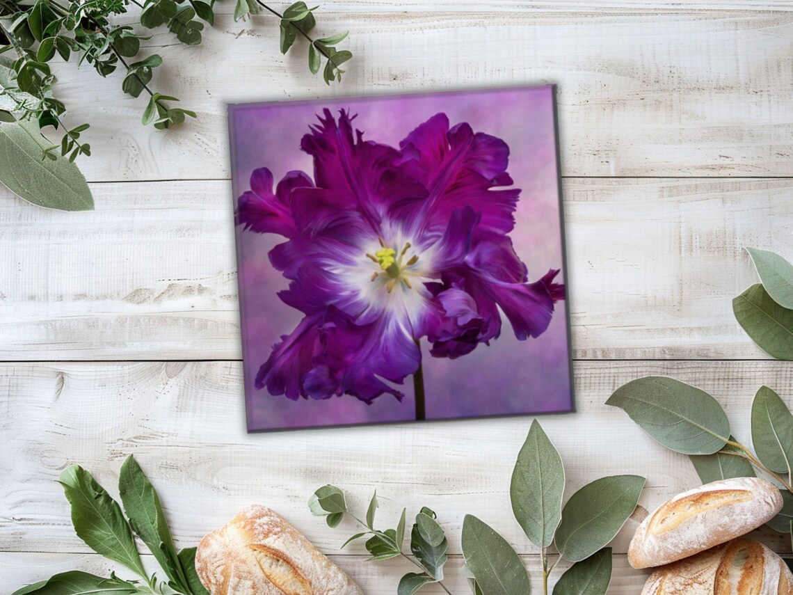 Wide Open Purple Tulip Ceramic Photo Tile, Flower Lover Gift, Home ...