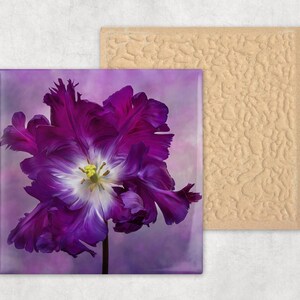 Wide Open Purple Tulip Ceramic Photo Tile, Flower Lover Gift, Home ...