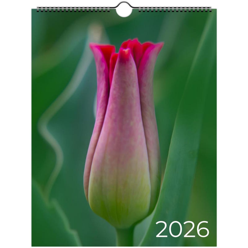 Macro Nature Calendar - Etsy UK