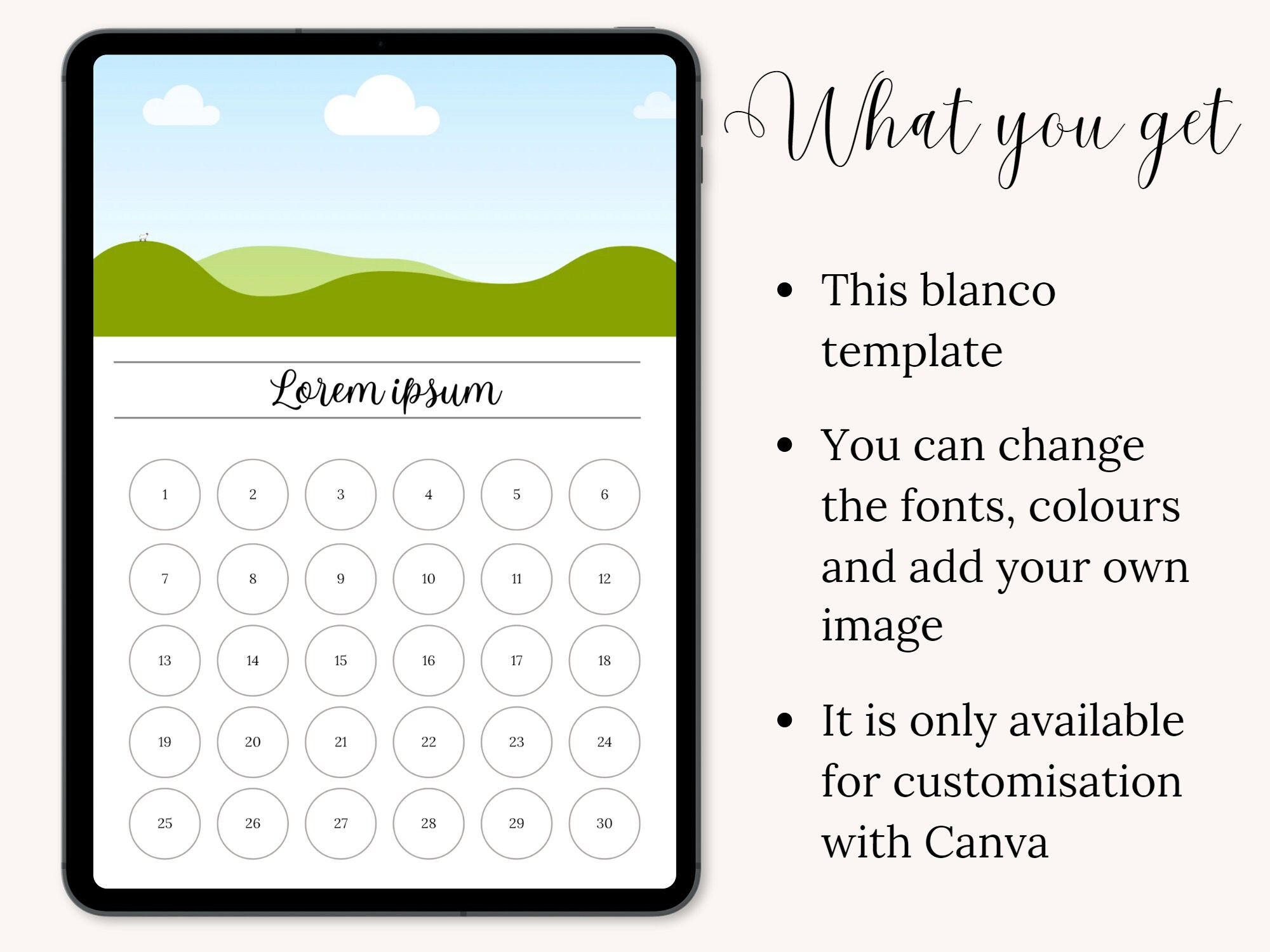 Habit Tracker Printable 30 Day Tracker Editable Canva Template - Etsy