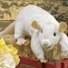Folkmanis White Rat Mouse Hand Puppet - 3038 Brand New W/ Tags - Etsy