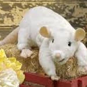 Folkmanis White Rat Mouse Hand Puppet - 3038 Brand New W/ Tags - Etsy