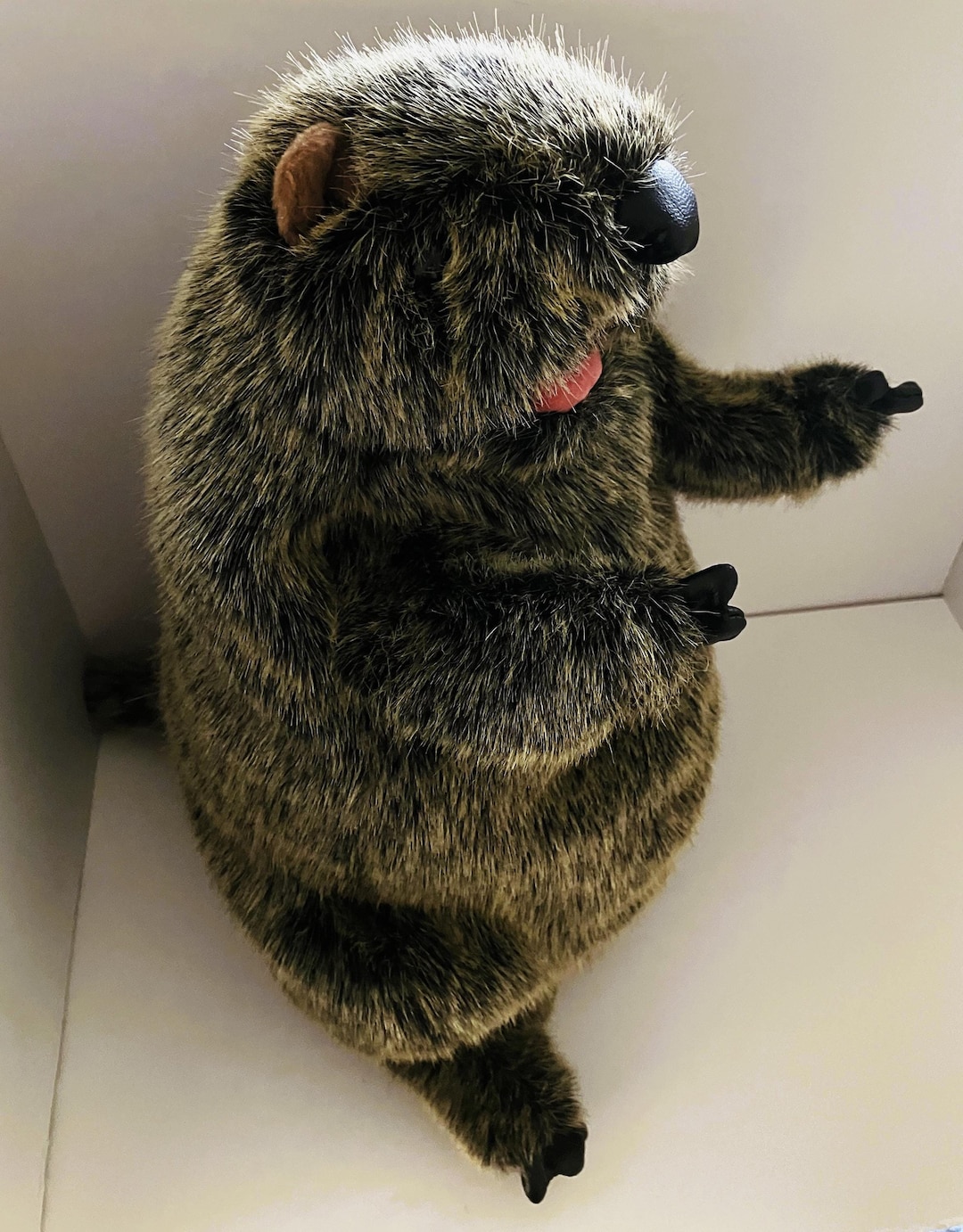 Folkmanis Groundhog Full Body Puppet #2317 RARE Brand New - Etsy