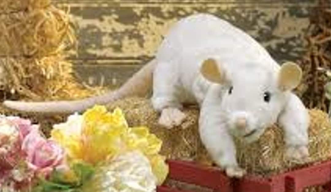 Folkmanis White Rat Mouse Hand Puppet 3038 Brand New W/ Tags - Etsy