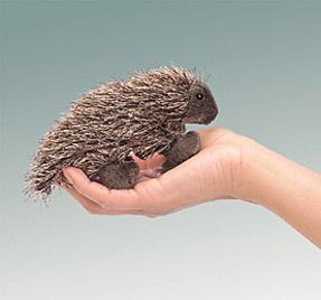 Folkmanis Mini Porcupine Finger Puppet 2649 Rare New - Etsy