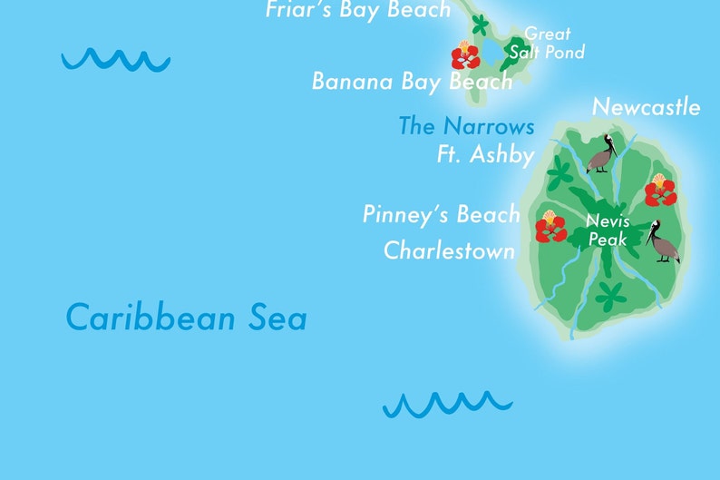 St. Kitts & Nevis Illustrated Map/print Caribbean Island Collection - Etsy