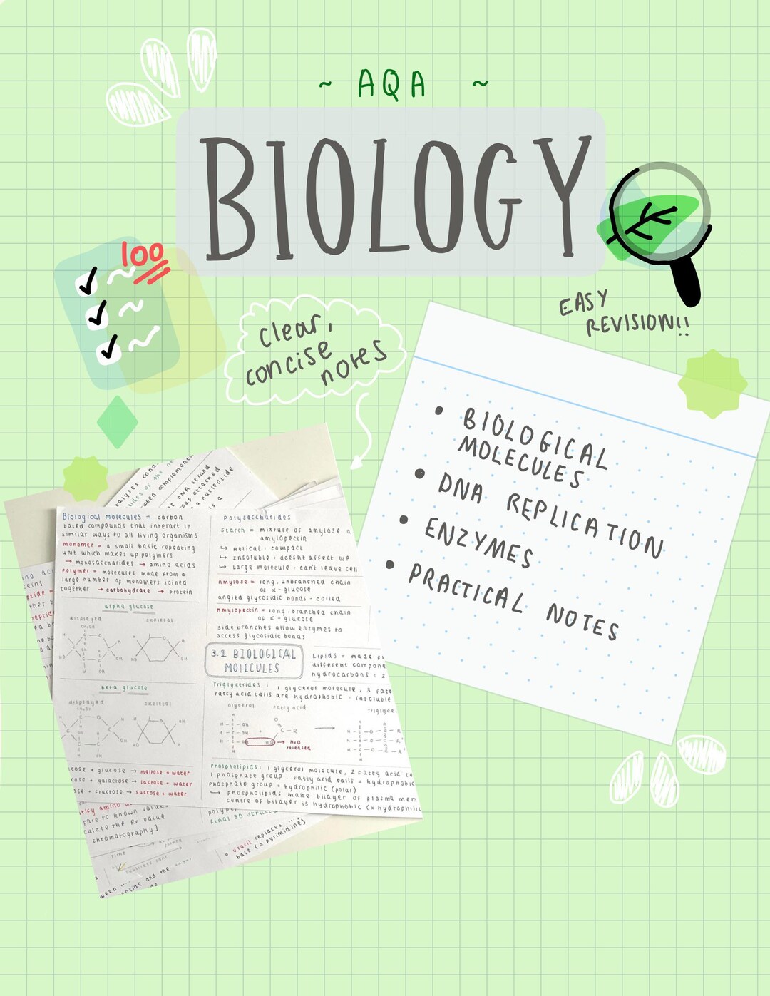 A-level AQA Biology Digital Study Notes - Etsy
