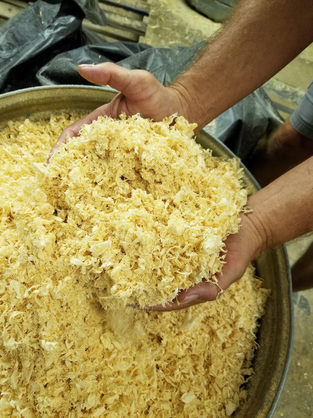 Wood Shavings, Sawdust From Kiln Dried, Clean, Pure, Natural Pine! No ...