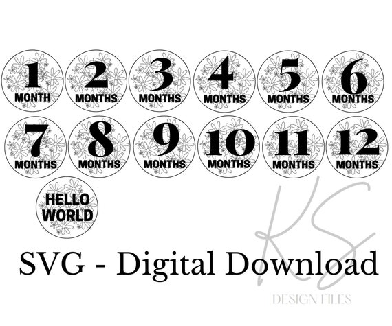Flower Monthly Milestone Disc SVG Baby Flower SVG Baby - Etsy