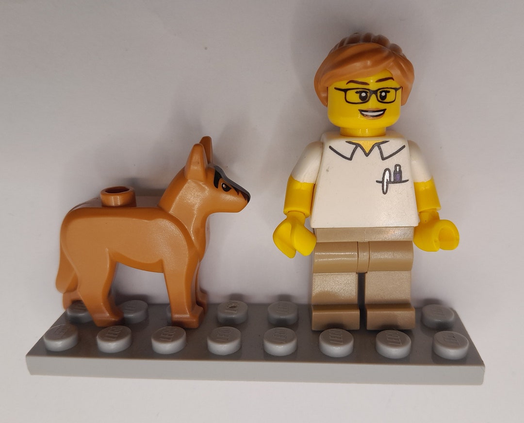 Vet With Dog Custom Built From Genuine Lego - Etsy