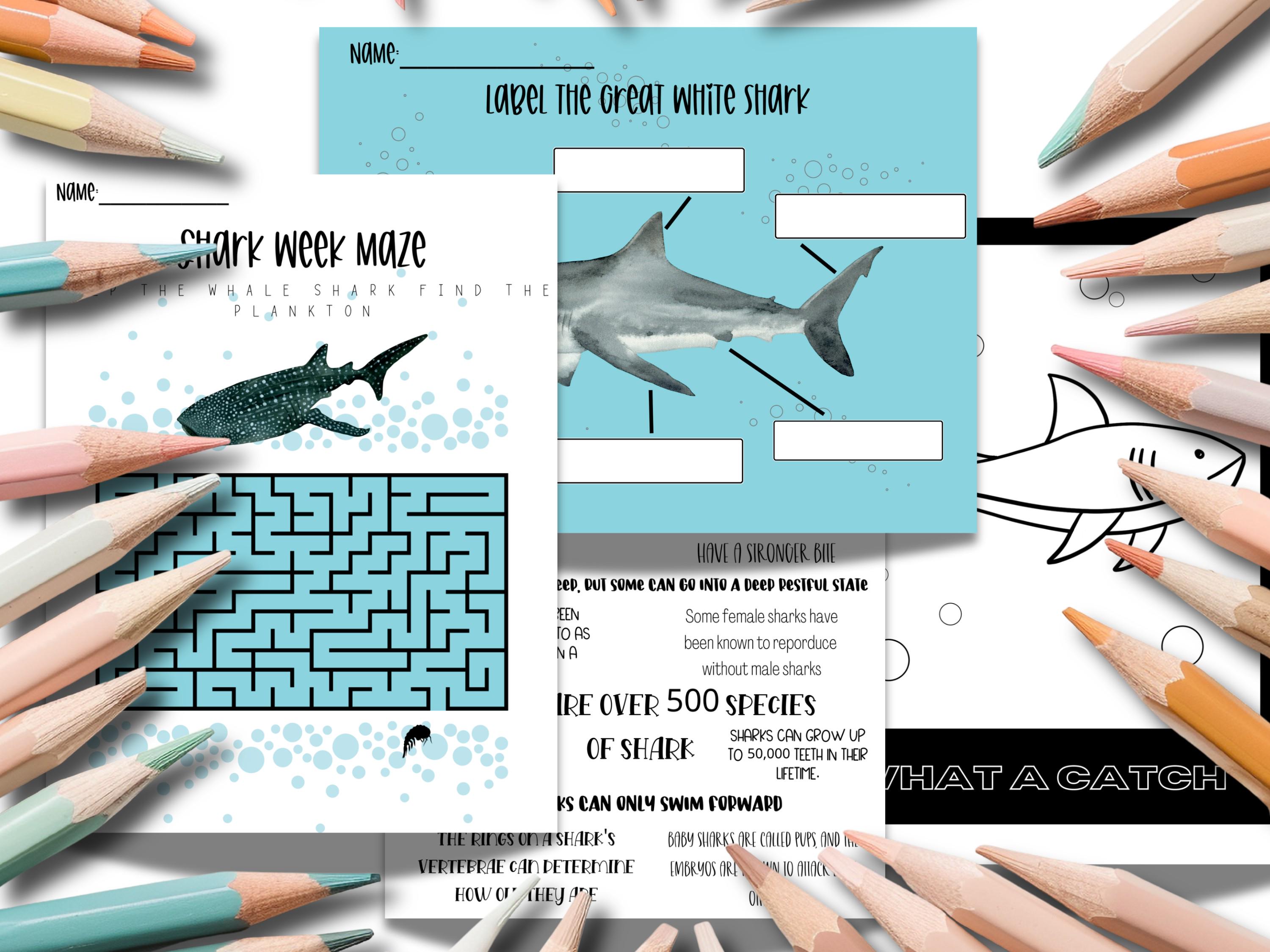 Shark Party Printable Bundle: Games, Banner, Cupcake Toppers (digital ...