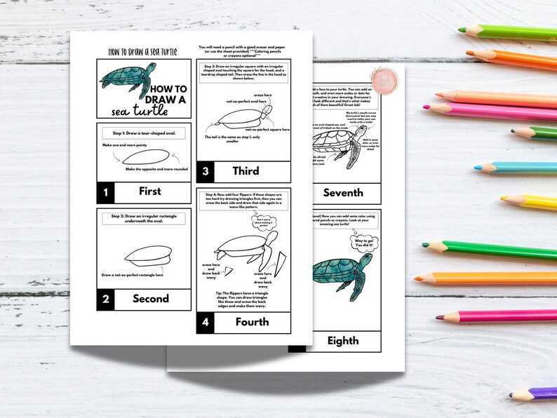 How to Draw a Sea Turtle | Learning Activity for Kids - Etsy