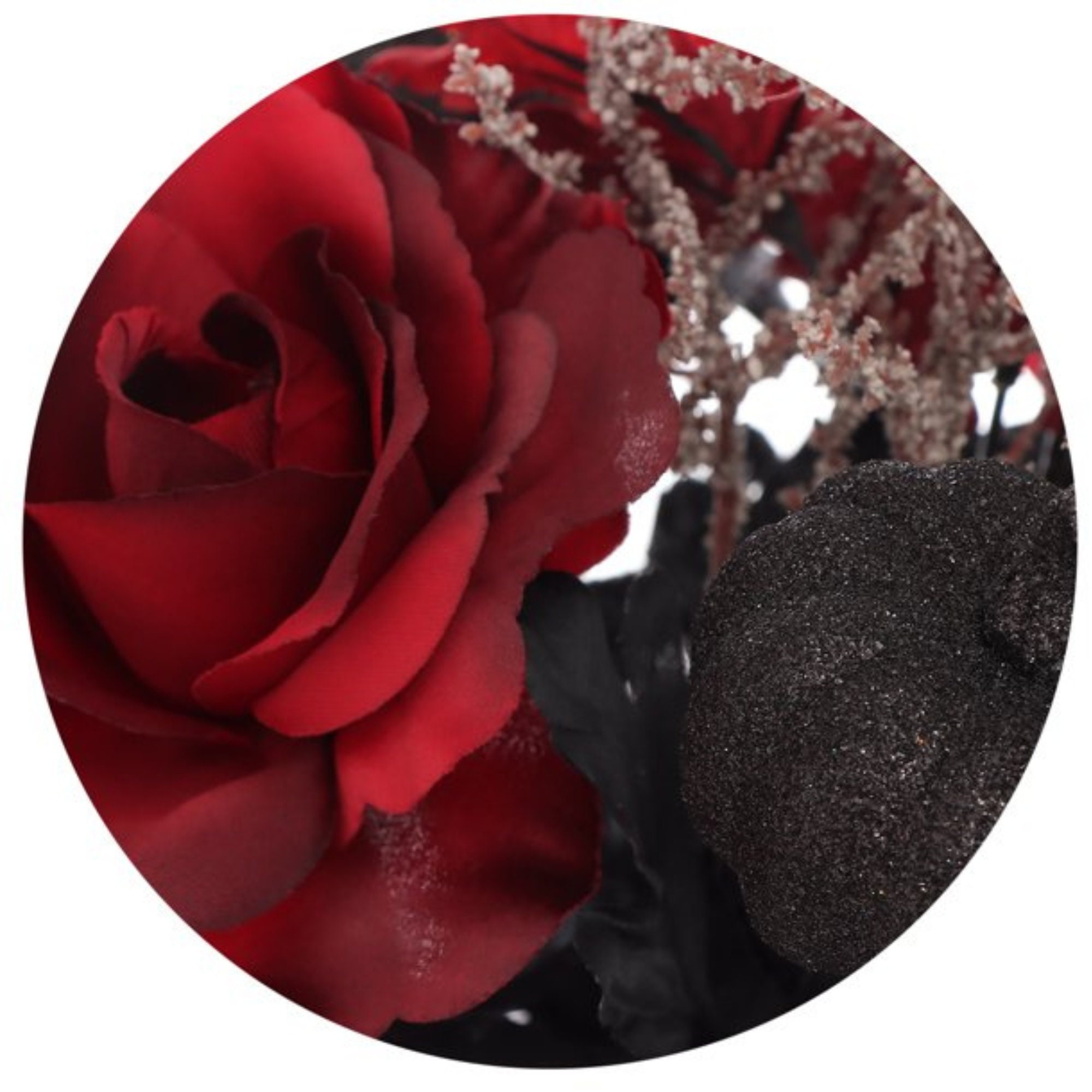 Halloween Gothic Black Flower Dark Red Rose Floral Samhain Dark Fall ...