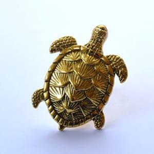 Premium Turtle Knob - Old Gold - Handle Kitchen Cupboard Home Cabinet ...