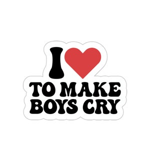 I Like to Make Boys Cry Indoor Outdoor Laptop Water Bottle Car Sticker ...