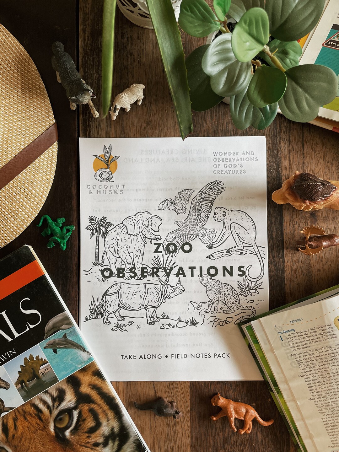 ZOO OBSERVATIONS A Take Along + Field Notes Pack - Etsy