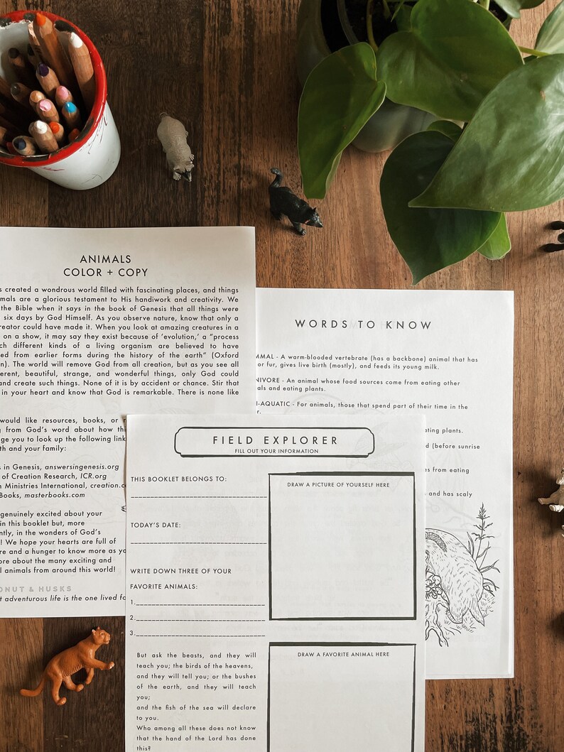 ANIMALS Color + Copy - Etsy