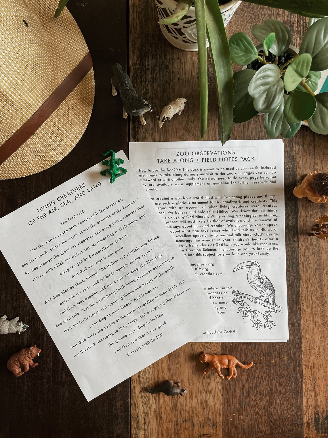 ZOO OBSERVATIONS A Take Along + Field Notes Pack - Etsy