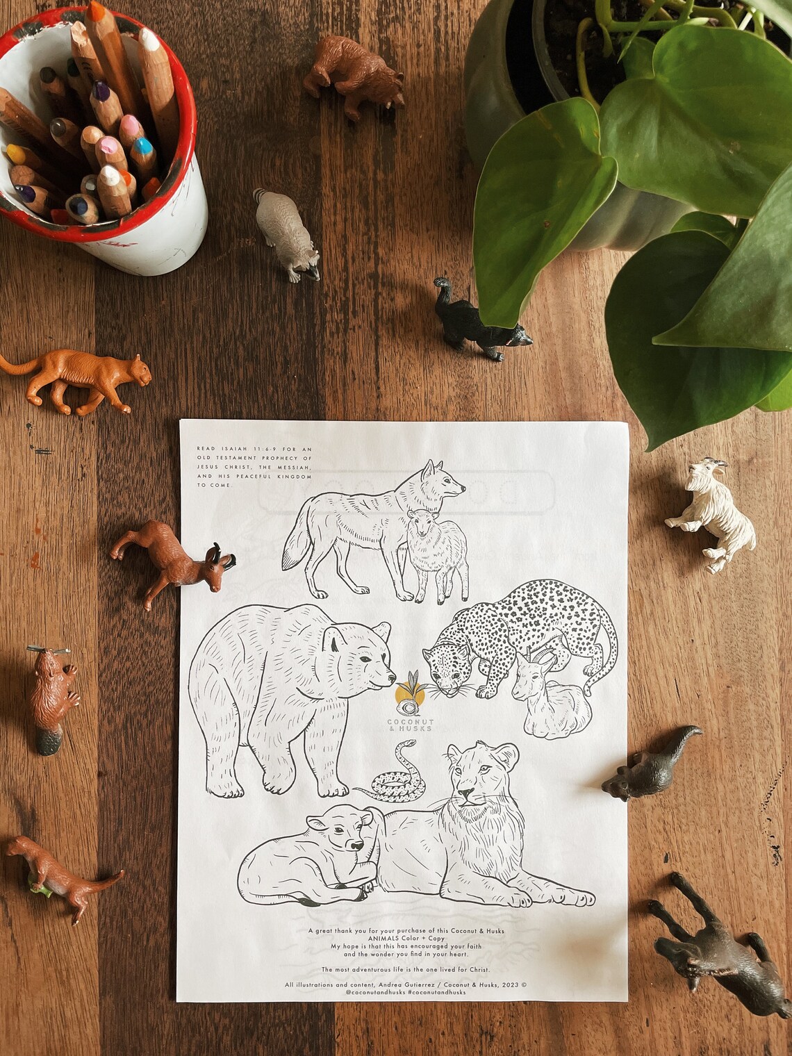 ANIMALS Color + Copy - Etsy