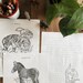 ANIMALS Color + Copy - Etsy