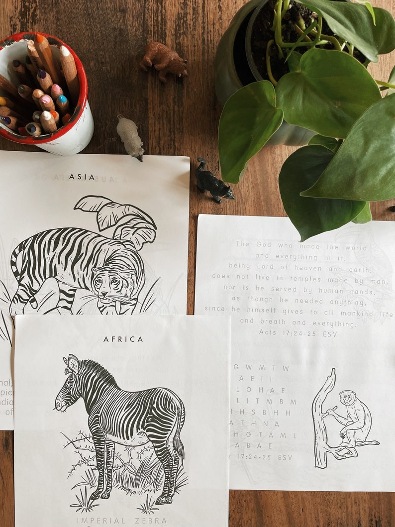 ANIMALS Color + Copy - Etsy