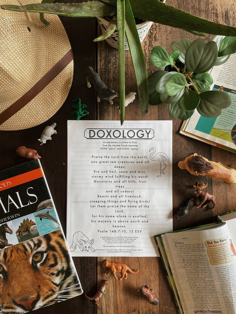 ZOO OBSERVATIONS A Take Along + Field Notes Pack - Etsy