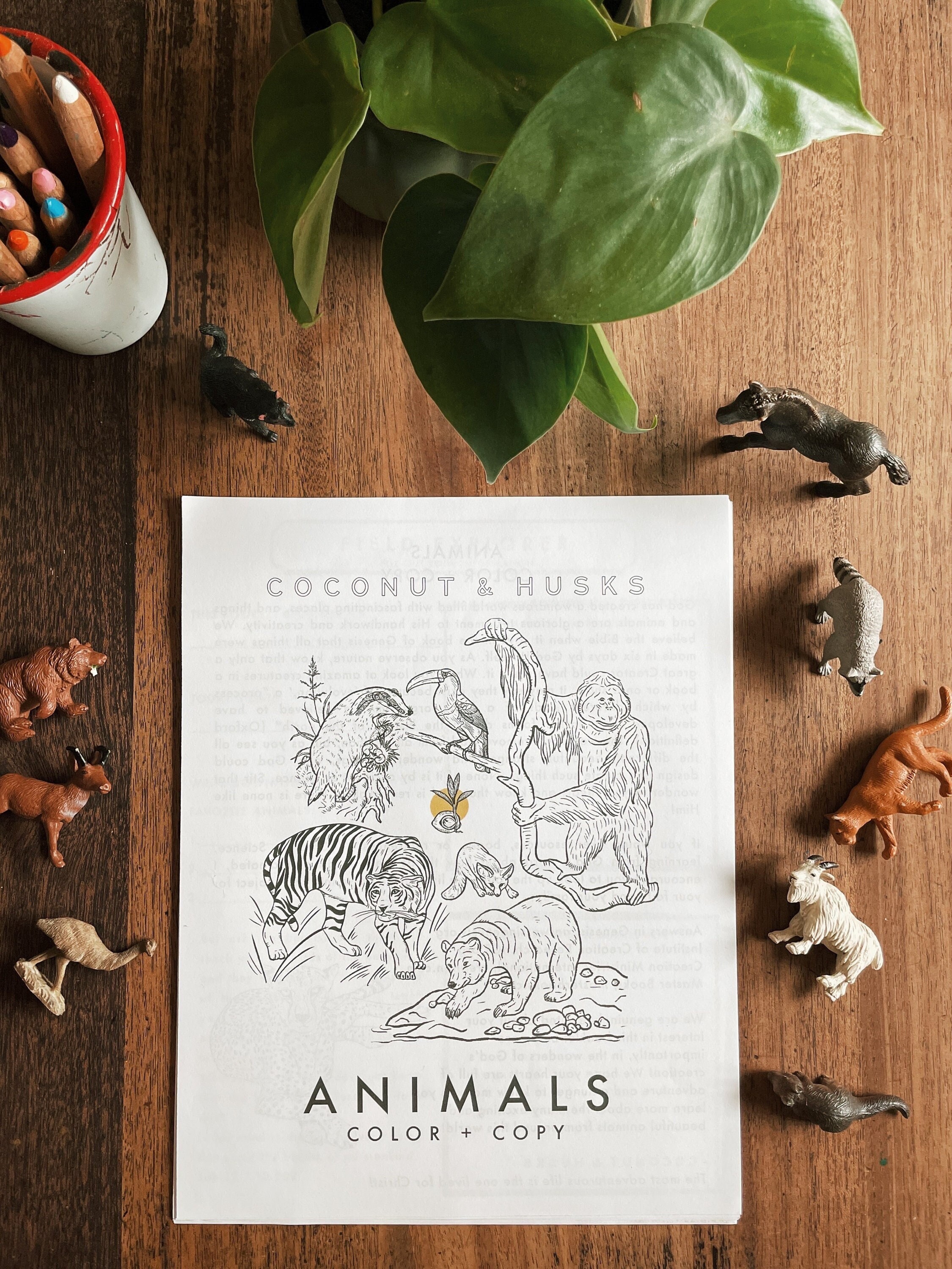 ANIMALS Color + Copy - Etsy