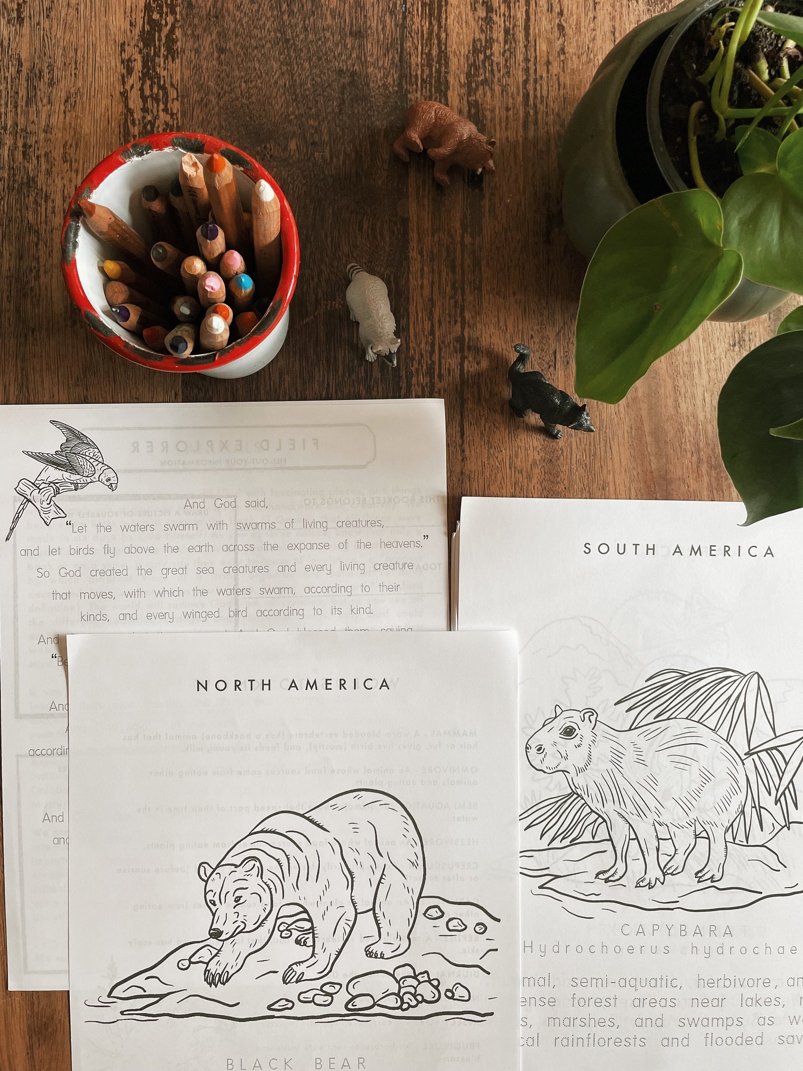 ANIMALS Color + Copy - Etsy
