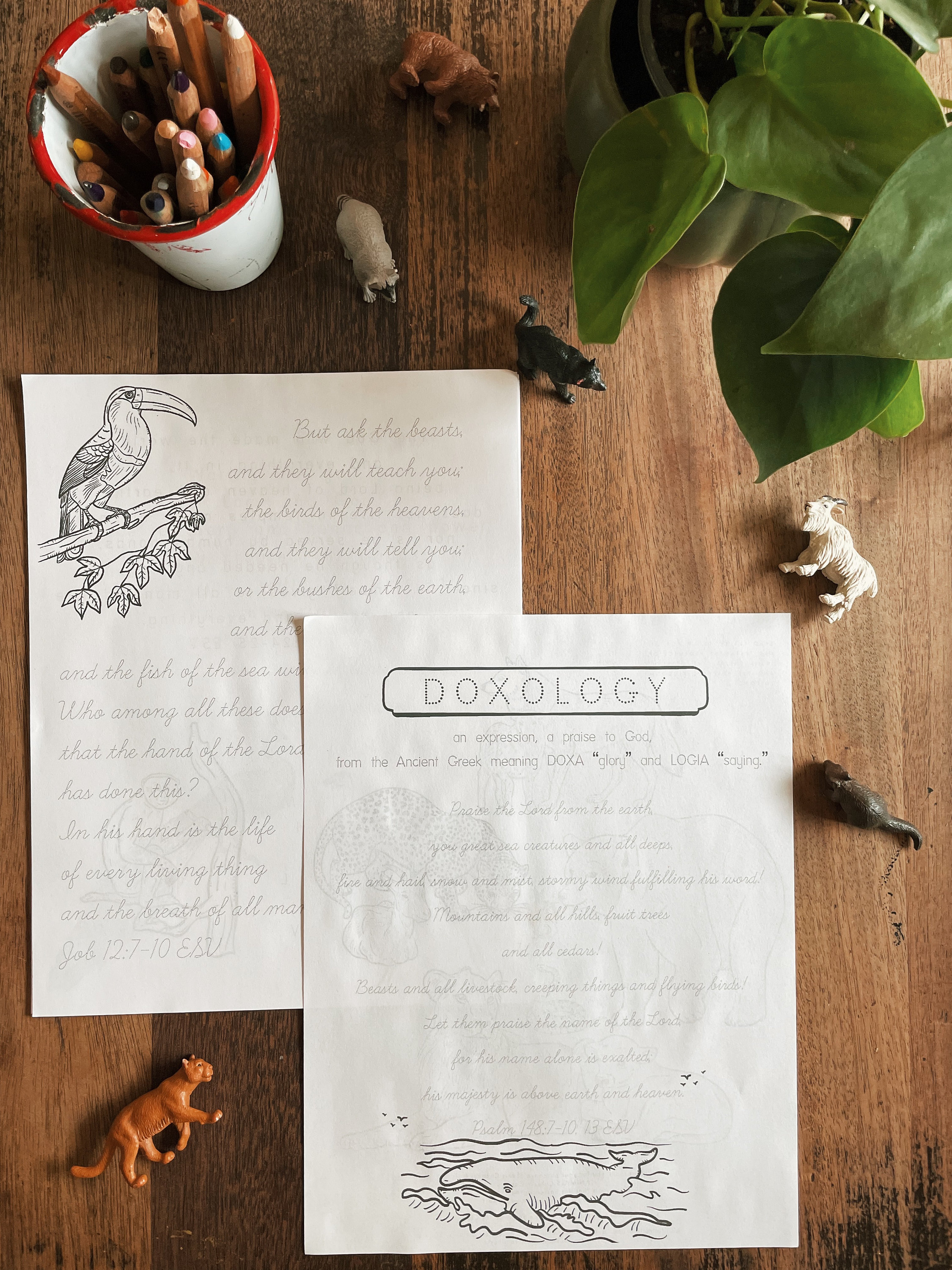 ANIMALS Color + Copy - Etsy