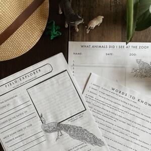 ZOO OBSERVATIONS A Take Along + Field Notes Pack - Etsy