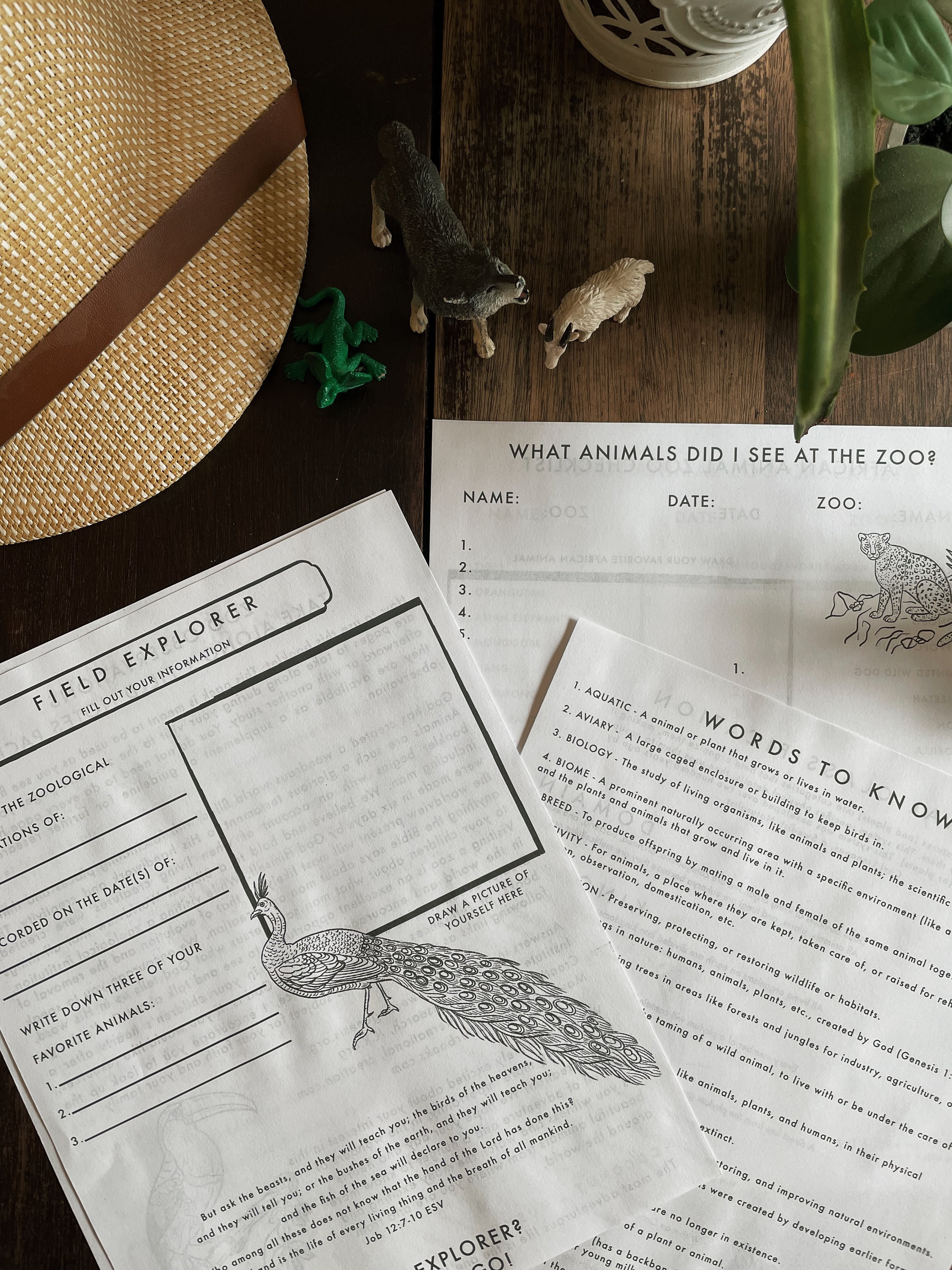 ZOO OBSERVATIONS A Take Along + Field Notes Pack - Etsy